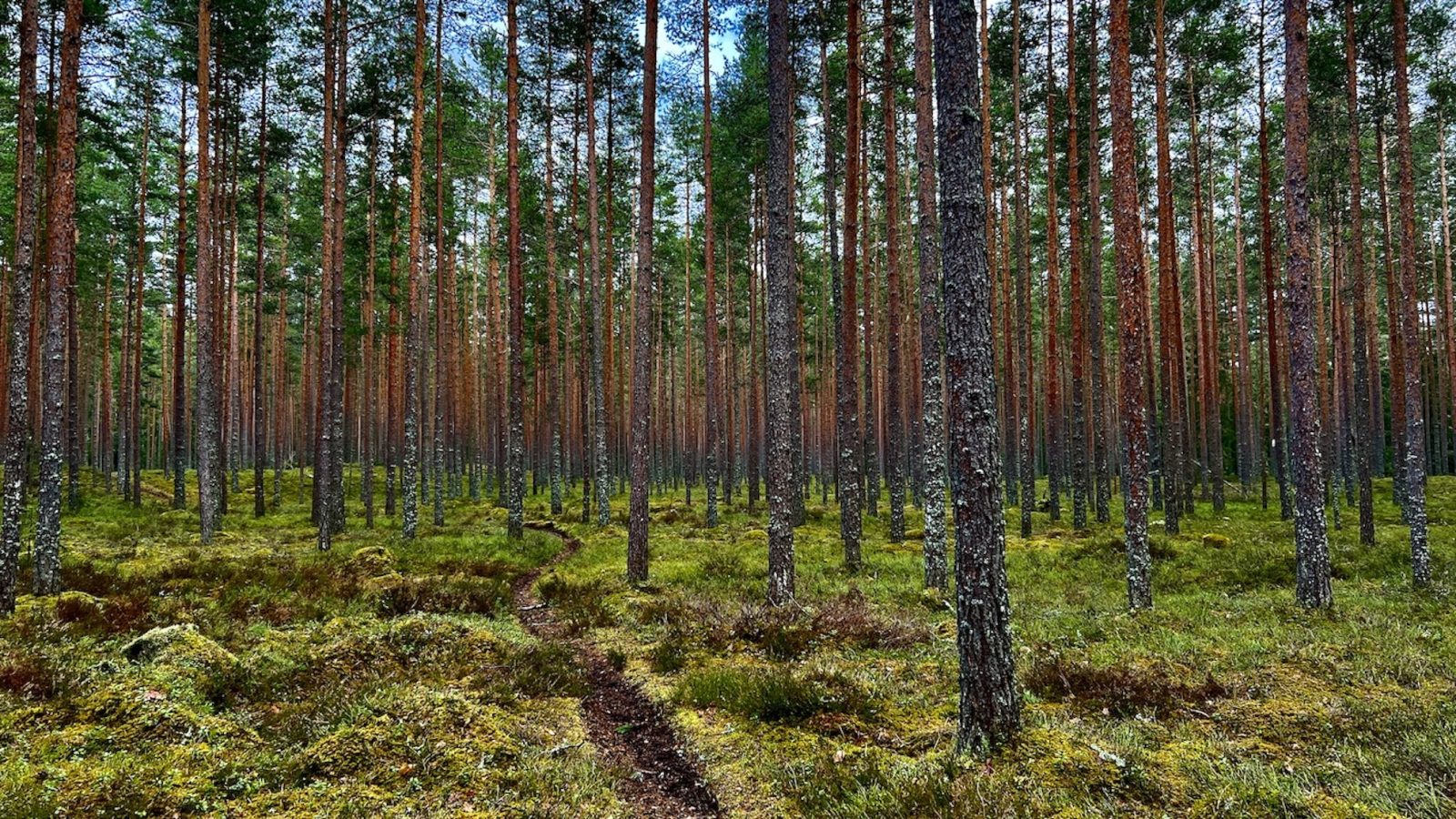 Life in Riga - Through the lens of a local