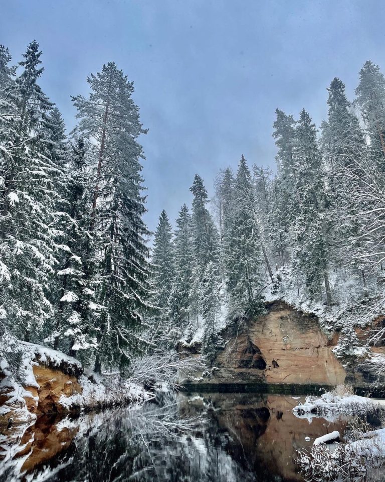 Latvians and the Forest - Life in Riga